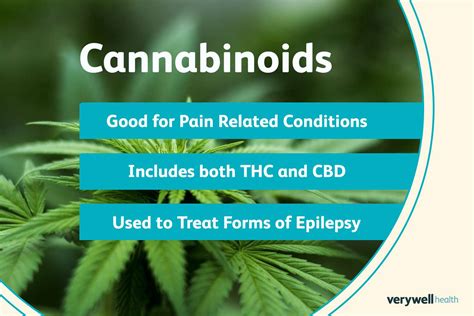 Cbd Cannabis Benefits Summary Diagram Of The Proposed Benefits Of