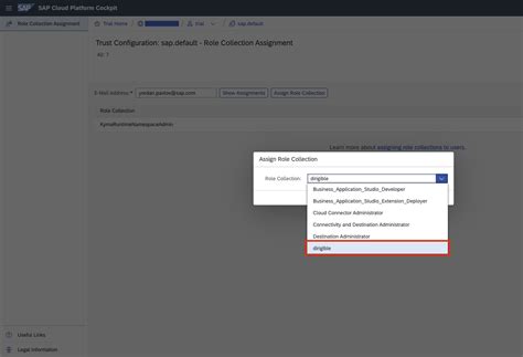 How To Deploy Eclipse Dirigible In The Sap Cloud P Sap Community