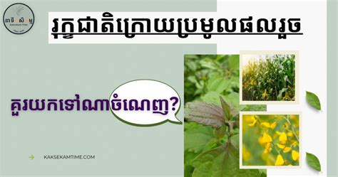 សារធាតុចិញ្ចឹមសំខាន់ដែលមាននៅក្នុងរុក្ខជាតិមួយចំនួនដែលអាចយកមកធ្វើជាជីកំប៉ុស្តិ៍ នាទីកសិកម្ម