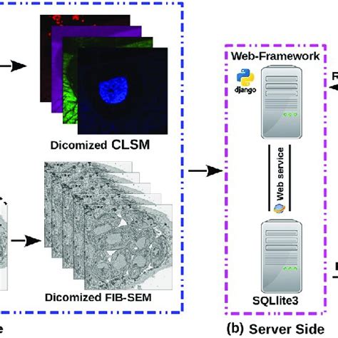 Framework For An Interactive 3d Viewer A Acquisition Of Download Scientific Diagram
