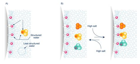 Types Of Chromatography Classification Of Chromatography Biology Notes Online