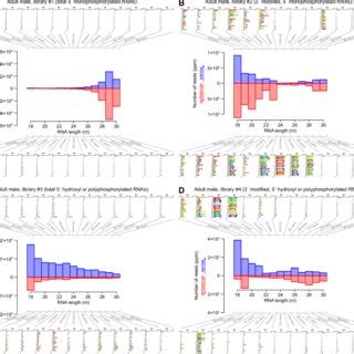 Size Distribution And Sequence Logos For Transcriptome Matching Small Download Scientific