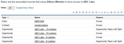 Salesforce Account Accessibility