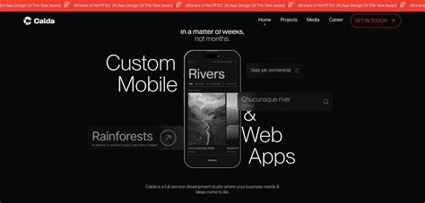Top Flutterflow Developers In 2025 Reverb