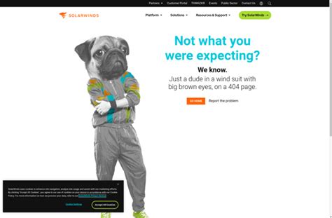 Simple Ip Config Free Network Configuration Tool Sugggest