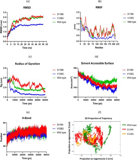 A Rmsd Graph B Rmsf Graph C Rg Graph D Sasa Graph E H