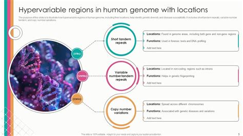 hypervariable powerpoint template bundles ppt presentation ppt example