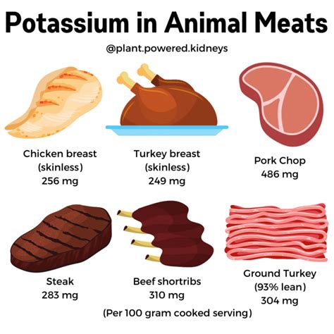 Low Potassium Meats And Fish For A Renal Diet