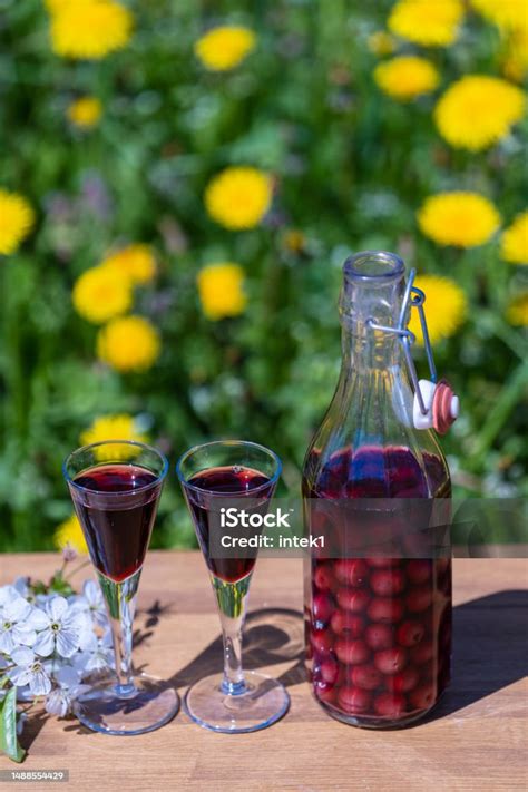 수제 체리 브랜디 두 잔과 여름 정원의 나무 테이블 위의 유리 병 0명에 대한 스톡 사진 및 기타 이미지 0명 건강관리와 의술 건강한 생활방식 Istock