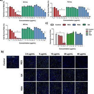 Schematic Diagram Of The Rsa Preparation Process And The Download Scientific Diagram
