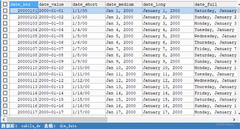 第八章 加载日期数据至日期维度表sakila 维度表 Csdn博客
