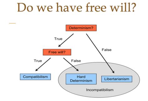 Chapter 5 Free Will Vs Determinism Flashcards Quizlet