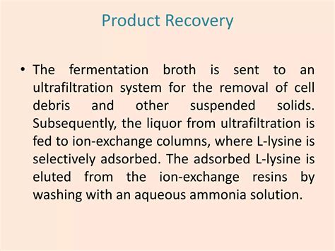 Industrial Production Of L Lysine By Fermentation Pptx