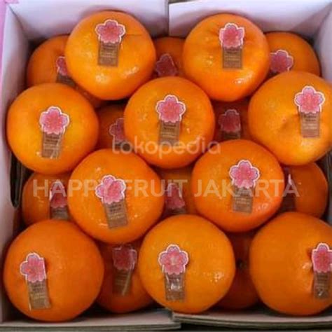 Jual Jeruk Mikam Sakura Premium Super Manis 1 Kg Jakarta Barat HAPPY FRUIT JAKARTA Tokopedia