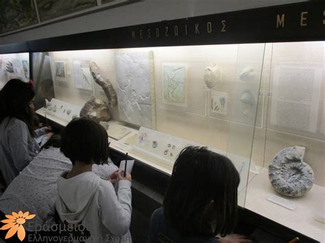 ΜΟΥΣΕΙΟ ΦΥΣΙΚΗΣ ΙΣΤΟΡΙΑΣ ΕΞΕΡΕΥΝΩ ΤΗ ΦΥΣΗ Εράσμειος