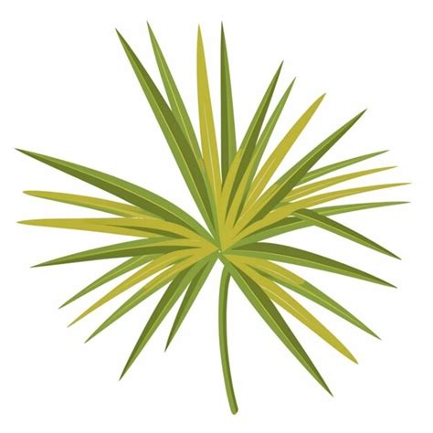 Premium Photo Plam Trees Isolated On White Background