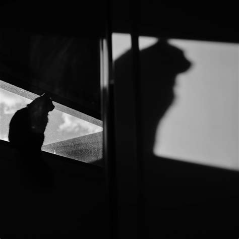 Bulkan Evcimen Youtube