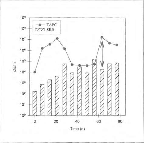 4 Development Of Microbial Population Structure During Inoculum Download Scientific Diagram