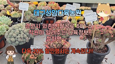 대구성암다육농원 직원이 알려주는 다육정보 철화편~~~ Youtube