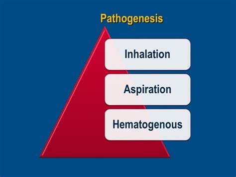 Pneumonia Classificationtypes And Causesdiagnosistreatment