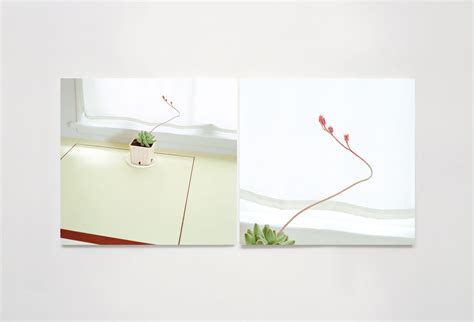 Uta Barth Uta Barth Untitled 05 5 2005 Tanya Bonakdar Gallery