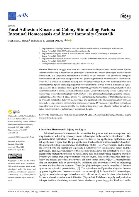 Pdf Focal Adhesion Kinase And Colony Stimulating Factors Intestinal Homeostasis And Innate