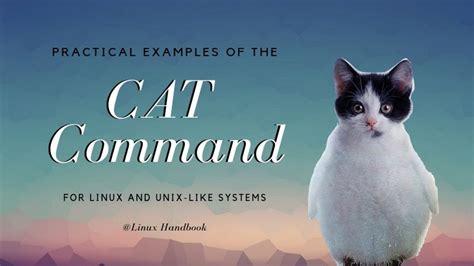 Concatenate Files In Linux Command Line