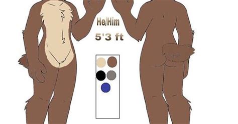 Fursona Reference Album On Imgur