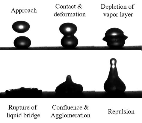 3 Different Stages Of Coalescence Phenomena Download Scientific Diagram