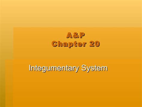 A P Integumentary PPT