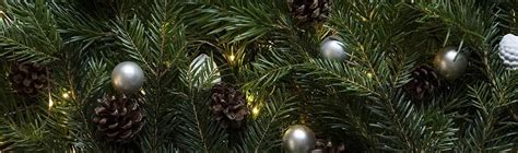 How To Create A New Geom For Ggplot2 Deepsenseai