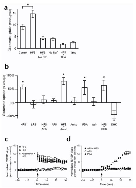 Long Term Potentiation And Contextual Fear Conditioning Increase Neuronal Glutamate Uptake