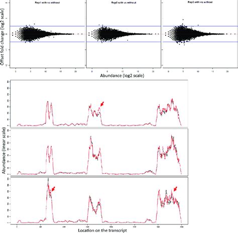Comparison Of Results Obtained Using The Subsampling With Or Without Download Scientific