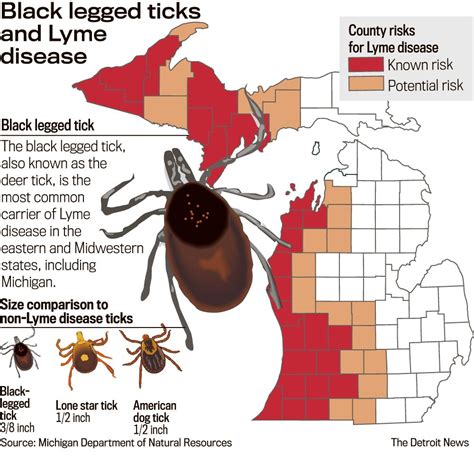 Do Michigan Ticks Carry Lyme Disease At Piper Blanc Blog