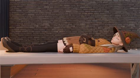 Ragdoll Lexa Hexbringer 4 By Fortcrrx On Deviantart