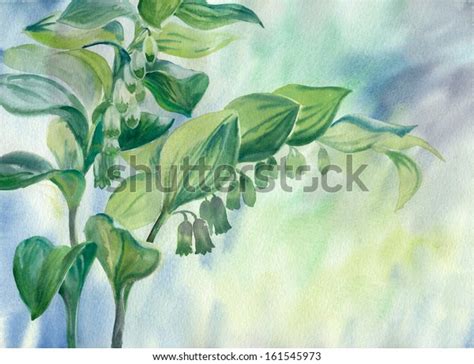 Angular Solomons Seal Over 6 Royalty Free Licensable Stock Illustrations And Drawings Shutterstock