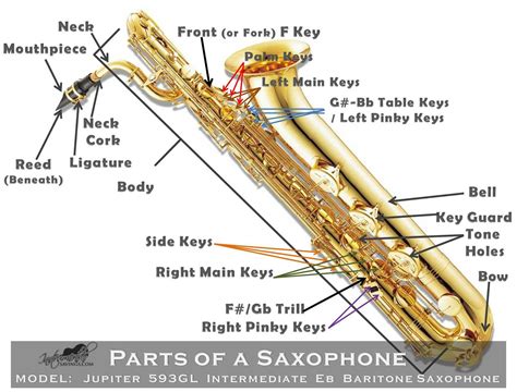 Saxophone Diagram