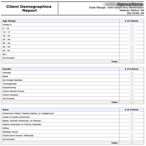 Client Demographics Flat Version Report Hmis Knowledge Base
