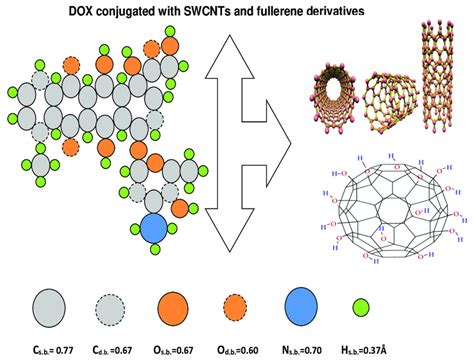 Geometrical Structure For Dox Molecule Conjugated With Cnps Swcnts Download Scientific Diagram