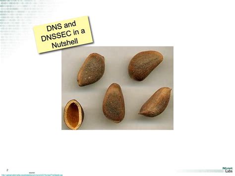 Ppt Introduction To Dns And Its Vulnerabilities Powerpoint Presentation Id 6992350