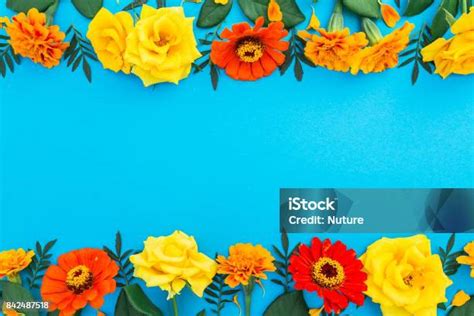 노란색과 붉은 꽃 파란 배경에 고립의 플로랄 프레임 평면 위치 최고 볼 수 있습니다 꽃 배경입니다 0명에 대한 스톡 사진 및 기타 이미지 Istock