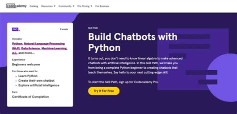 18 Best Python Courses Online 2025 Guide Courselounge