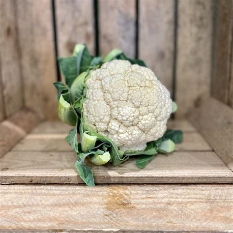 Cauliflower Roots And Shoots