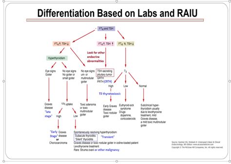 Hyperthyroidism Diagnosis Based On Labs Diagram Quizlet