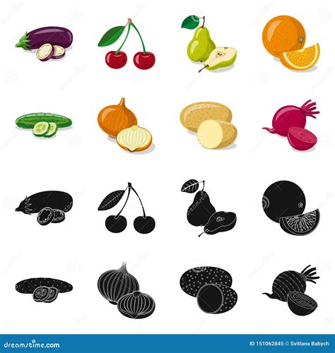 Ejemplo Del Vector De La Muestra De La Verdura Y De La Fruta Coleccin