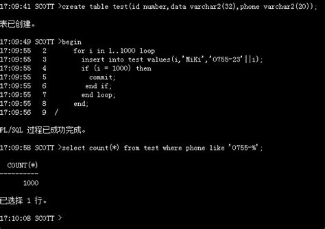 Plsql绑定变量优化 Csdn博客