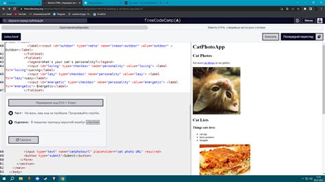 Learn Html By Byilding A Cat Photo App Step 61 Html Css The