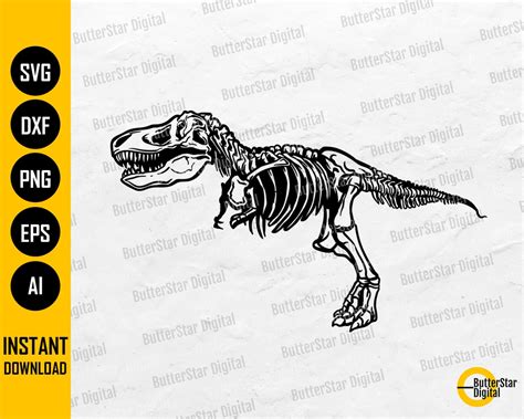 T Rex Skeleton Svg Dinosaur Fossil Svg Dino Decal Shirt Graphics Cricut Cameo Cut File