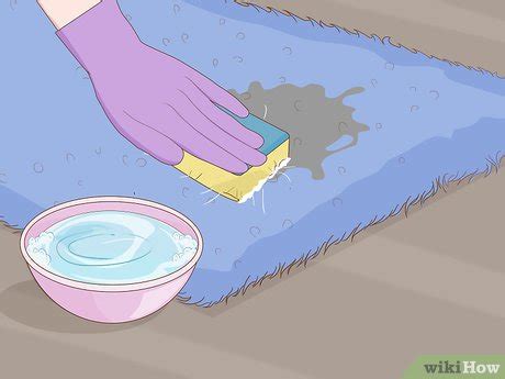 How To Remove Urine Odors And Stains Permanently DIY Guide
