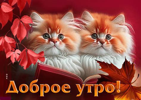 Солнечная анимационная открытка с котиками Доброе утро Скачать